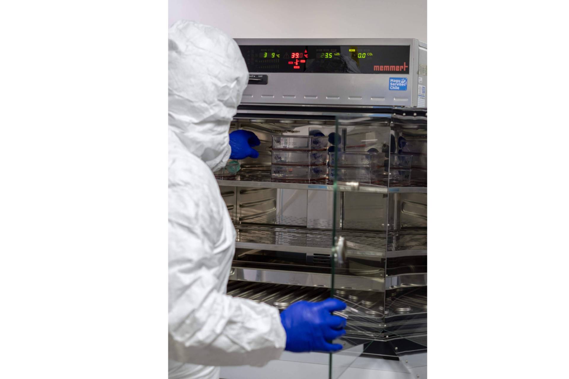 Cancer avanzado; El valioso aporte actual de la inmunoterapia DEX en el ...